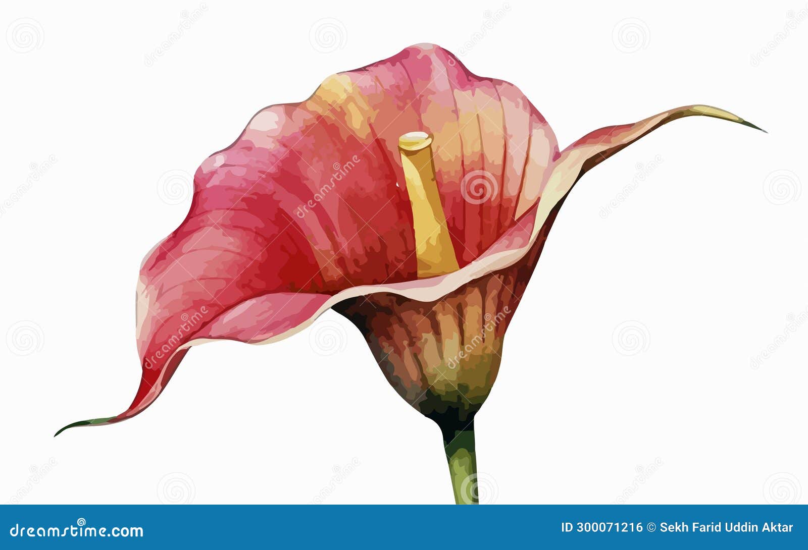 Red Calla Lily Flower Watercolor Art and Illustration Created with Ai ...