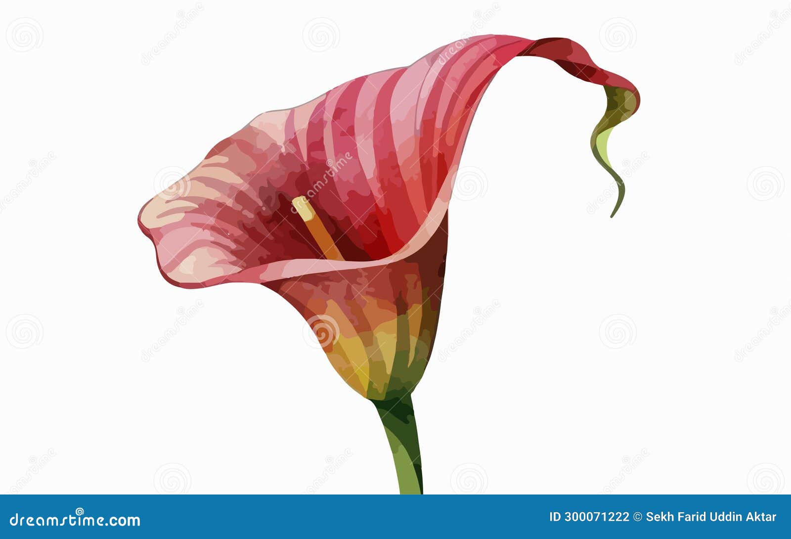 Red Calla Lily Flower Watercolor Art and Illustration Created with Ai ...