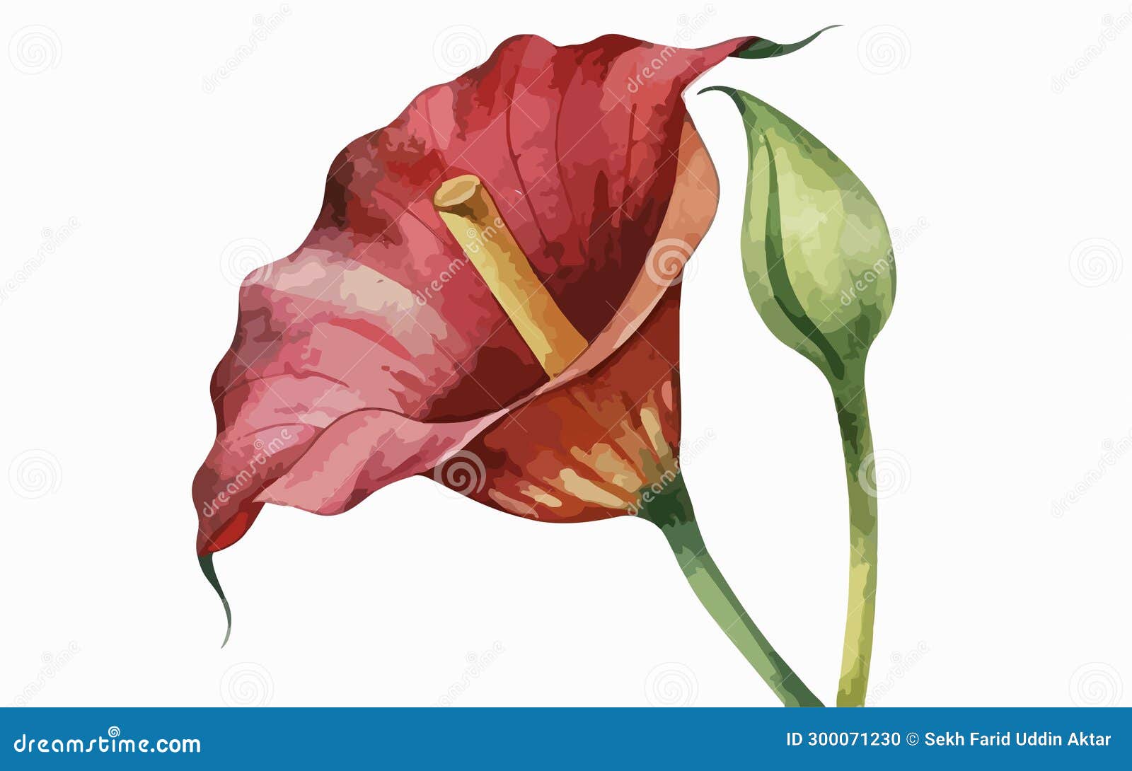 Red Calla Lily Flower Watercolor Art and Illustration Created with Ai ...