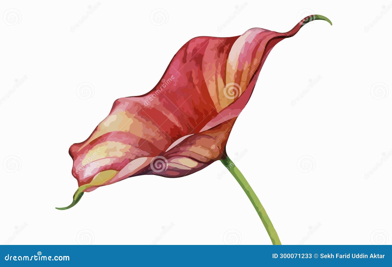Red Calla Lily Flower Watercolor Art and Illustration Created with Ai ...