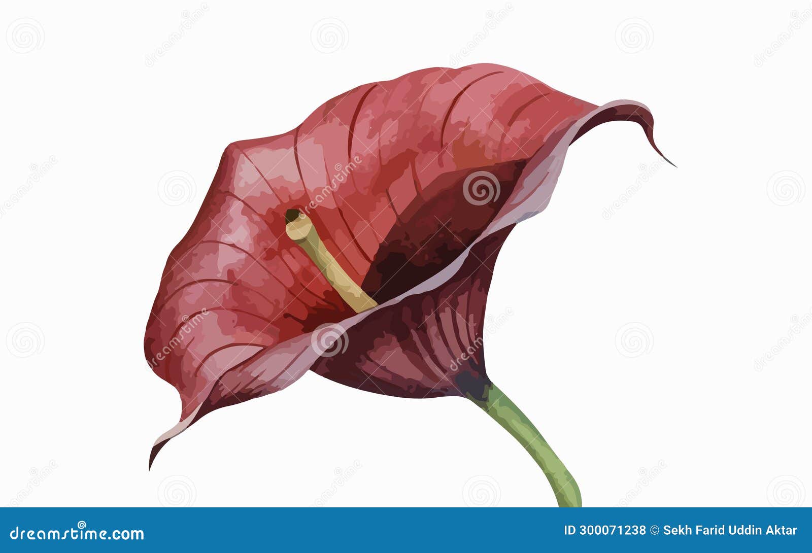 Red Calla Lily Flower Watercolor Art and Illustration Created with Ai ...