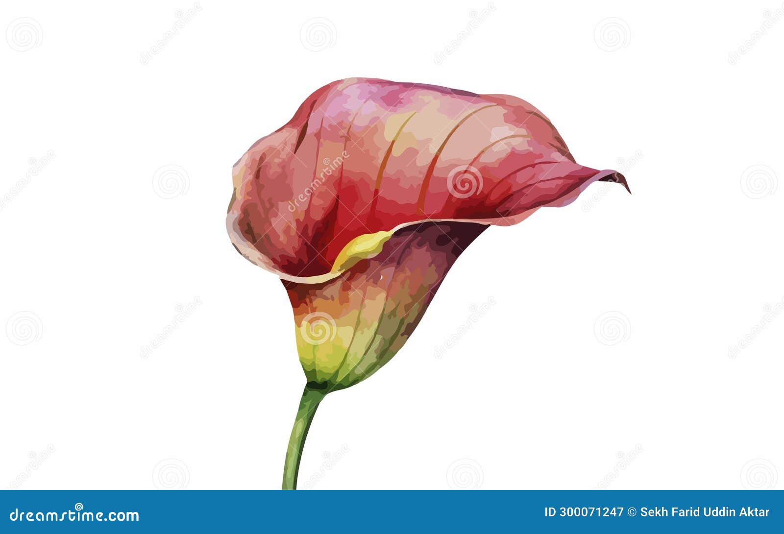 Red Calla Lily Flower Watercolor Art and Illustration Created with Ai ...