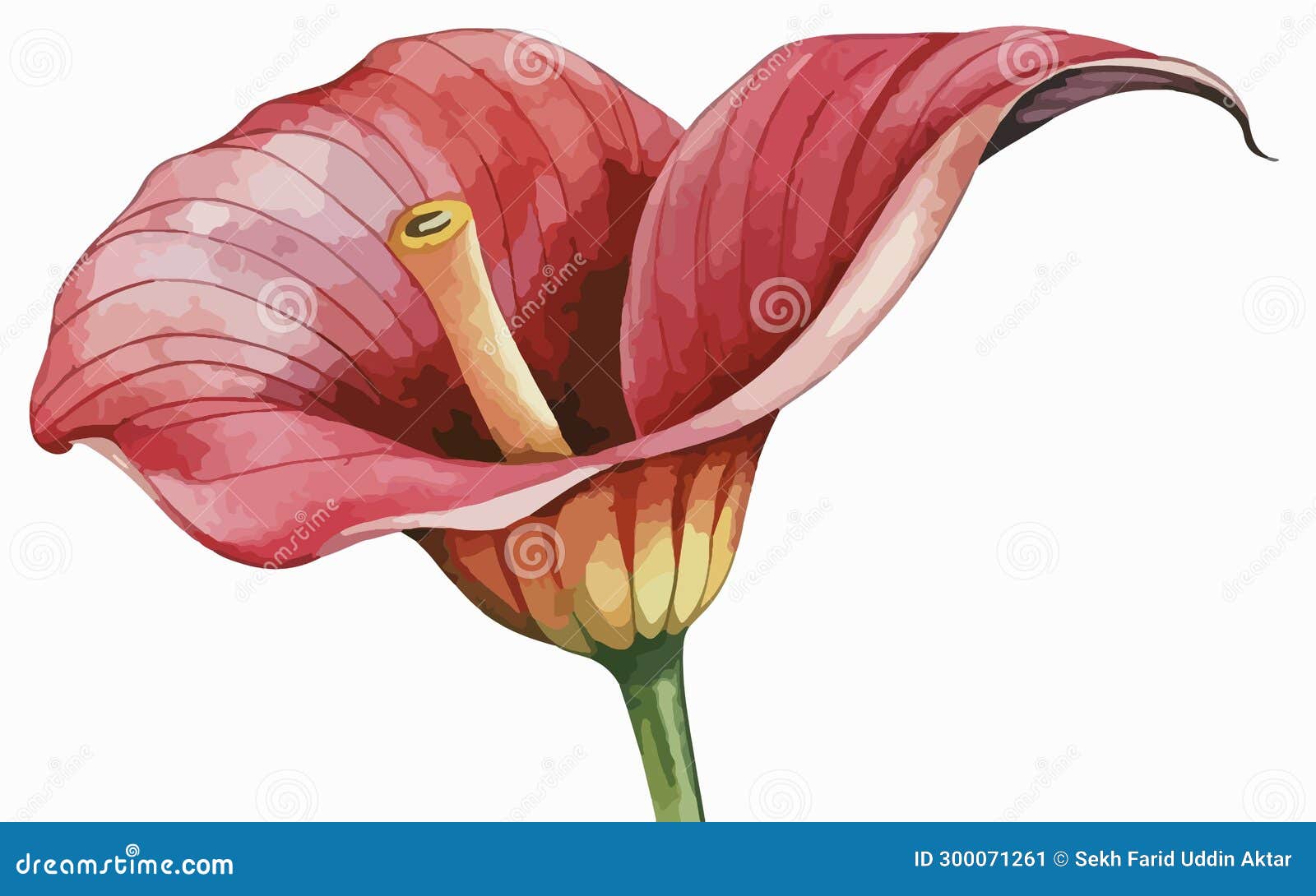 Red Calla Lily Flower Watercolor Art and Illustration Created with Ai ...