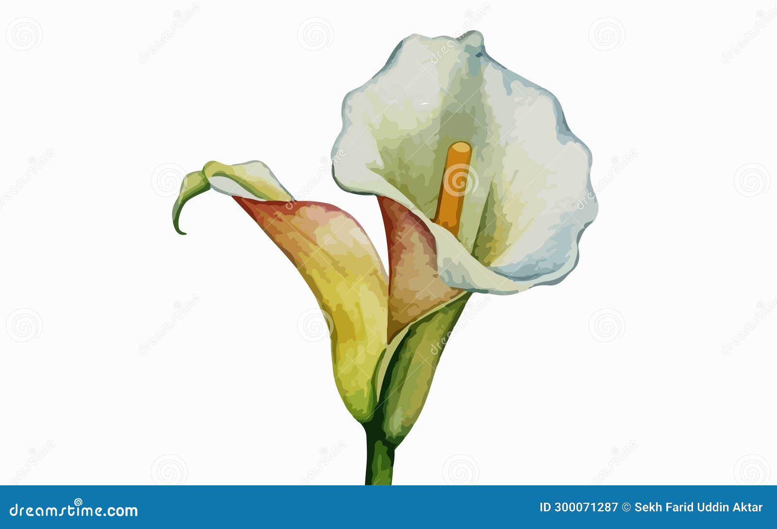 Red Calla Lily Flower Watercolor Art and Illustration Created with Ai ...
