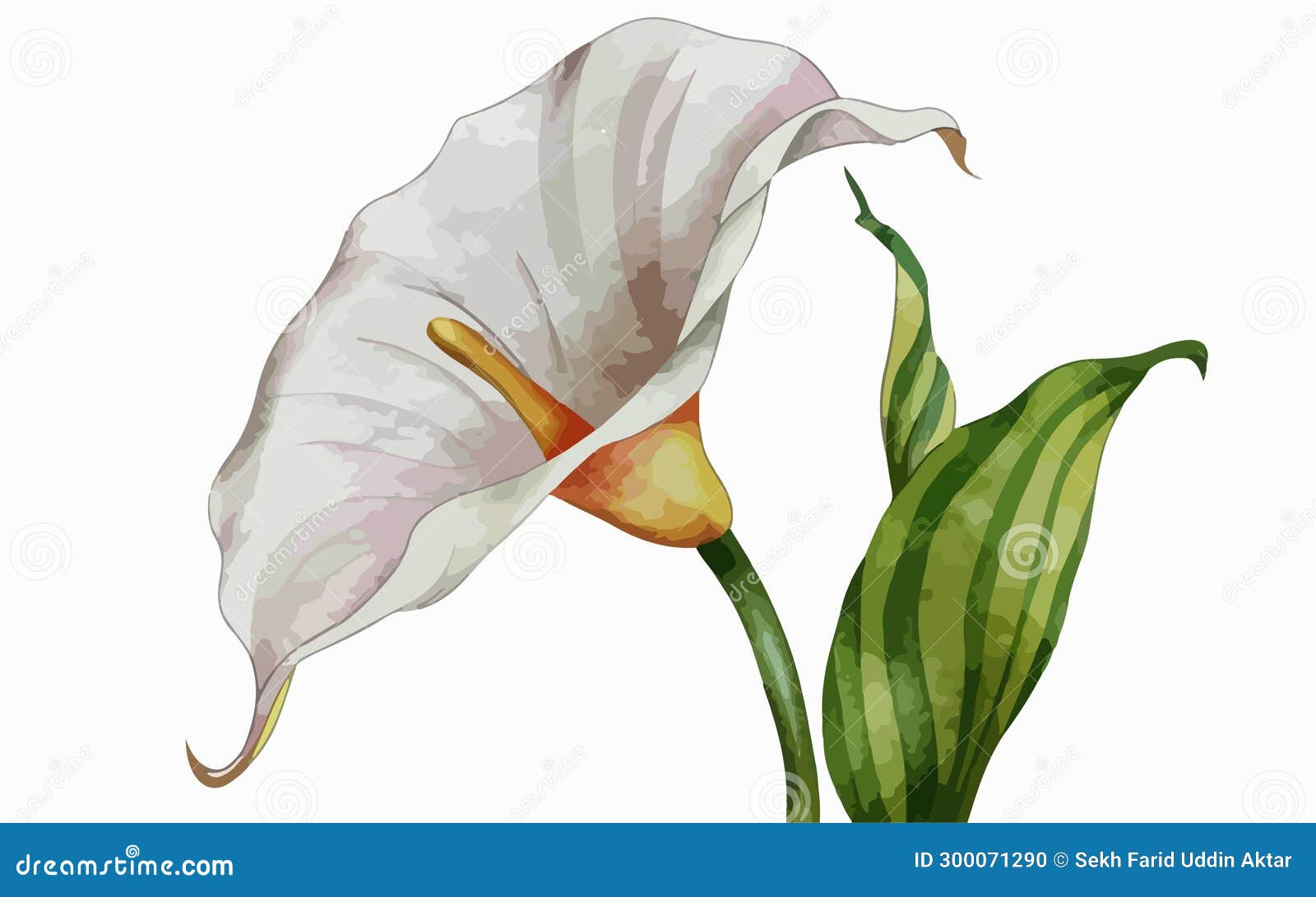 Red Calla Lily Flower Watercolor Art and Illustration Created with Ai ...