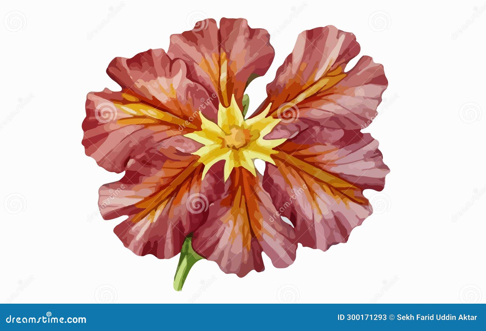 Cape Primrose Flower Watercolor Art and Illustration Created with AI ...