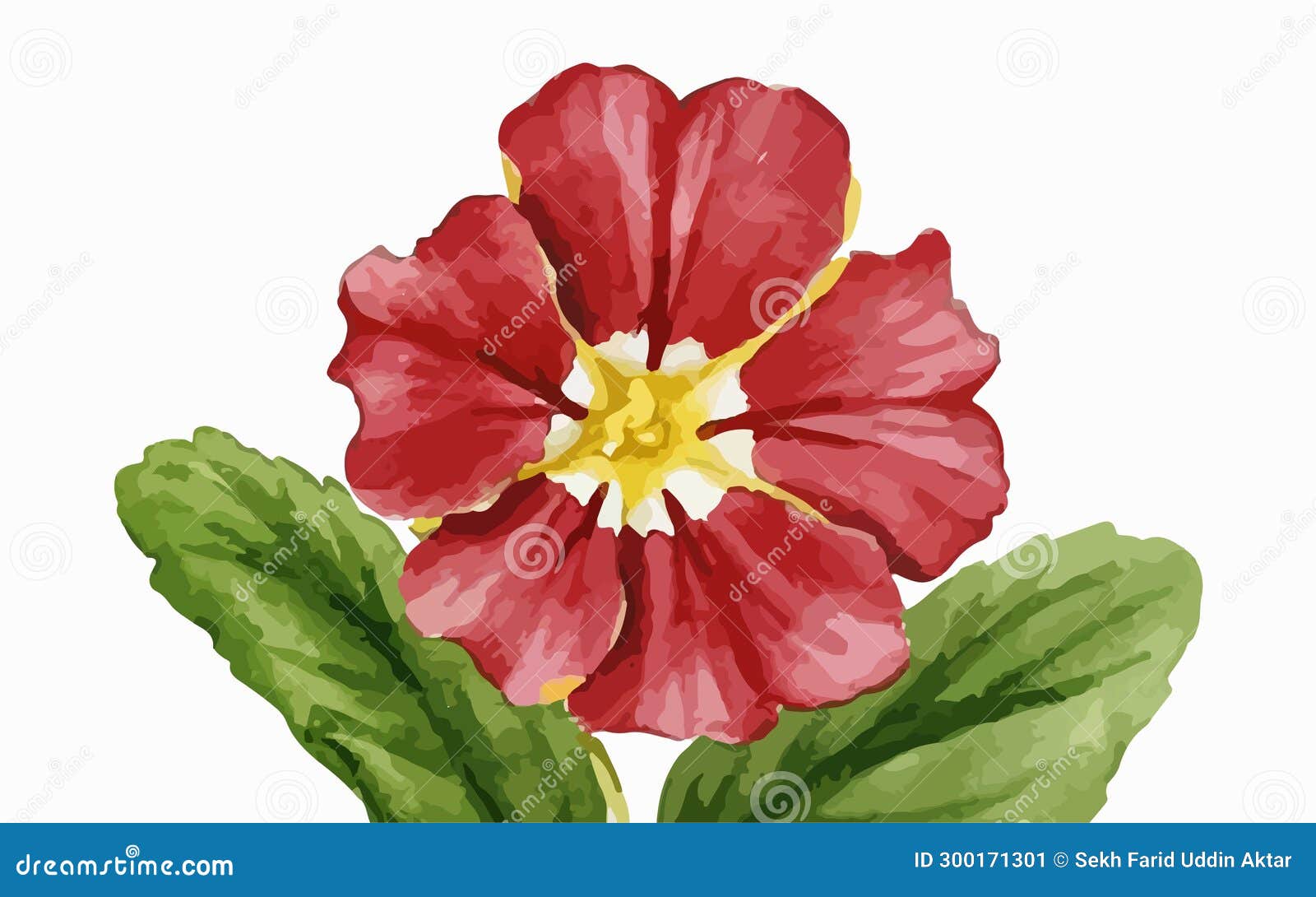 Cape Primrose Flower Watercolor Art and Illustration Created with AI ...