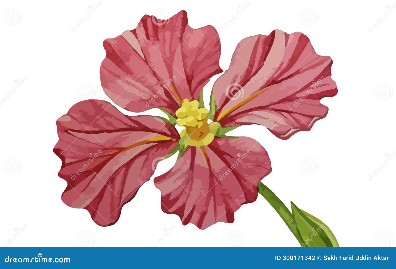 Cape Primrose Flower Watercolor Art and Illustration Created with AI ...
