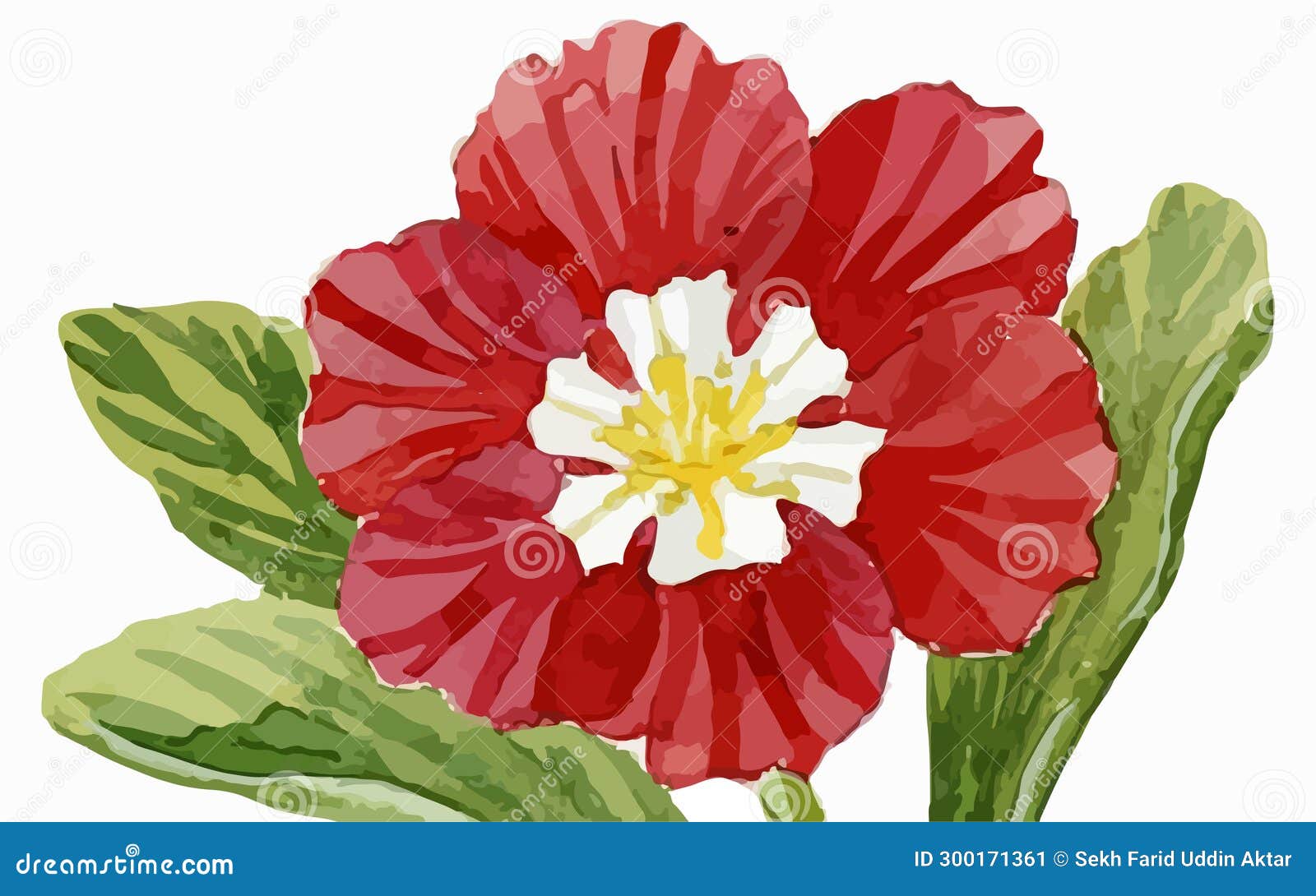 Cape Primrose Flower Watercolor Art and Illustration Created with AI ...