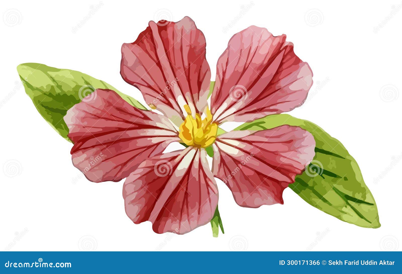 Cape Primrose Flower Watercolor Art and Illustration Created with AI ...