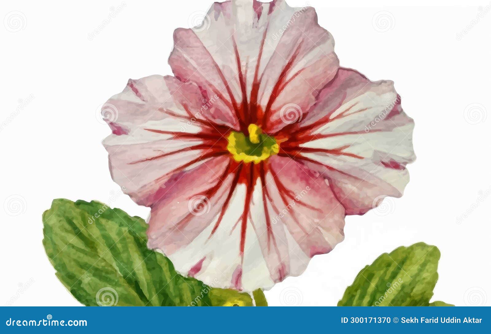 Cape Primrose Flower Watercolor Art and Illustration Created with AI ...