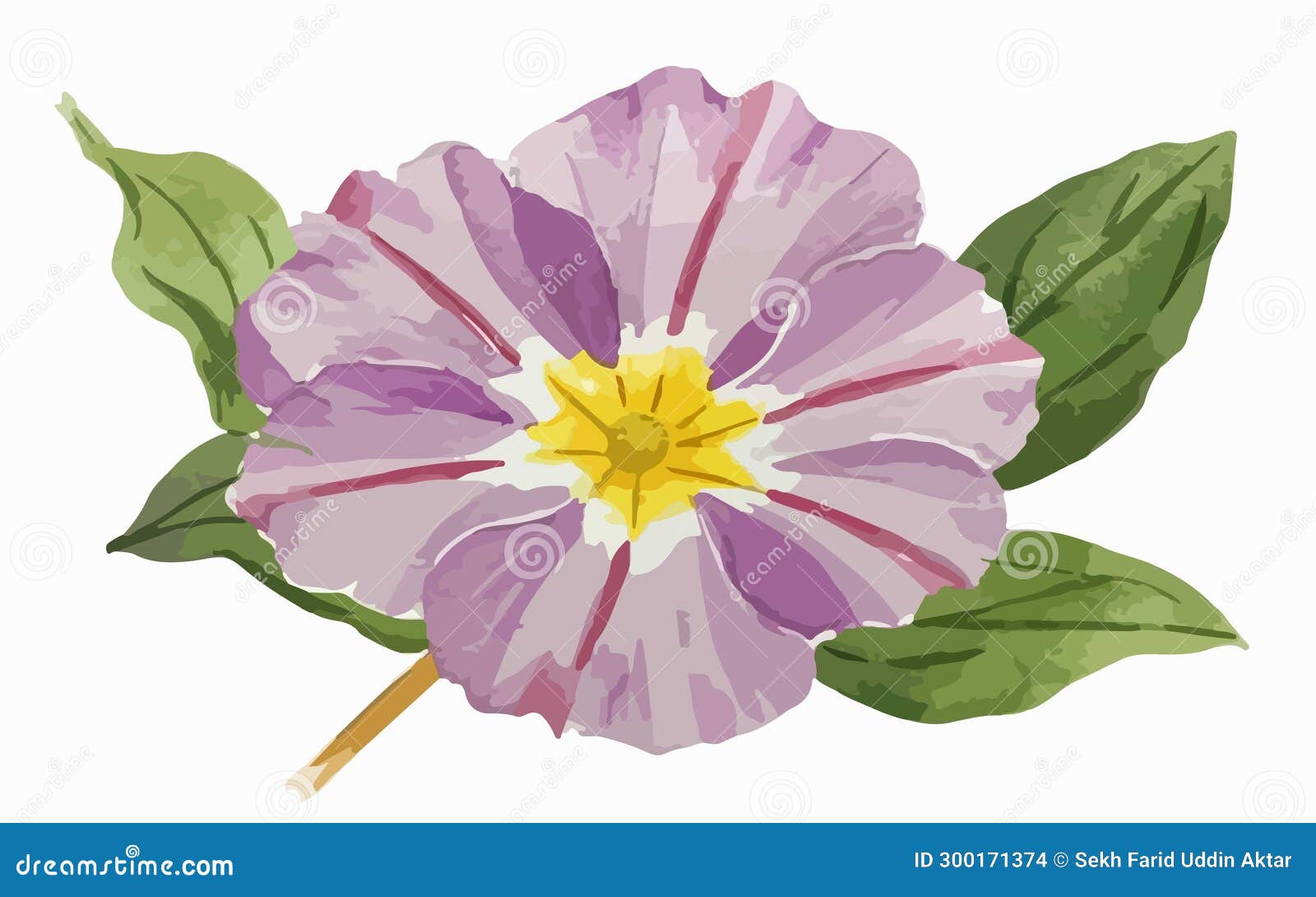 Cape Primrose Flower Watercolor Art and Illustration Created with AI ...