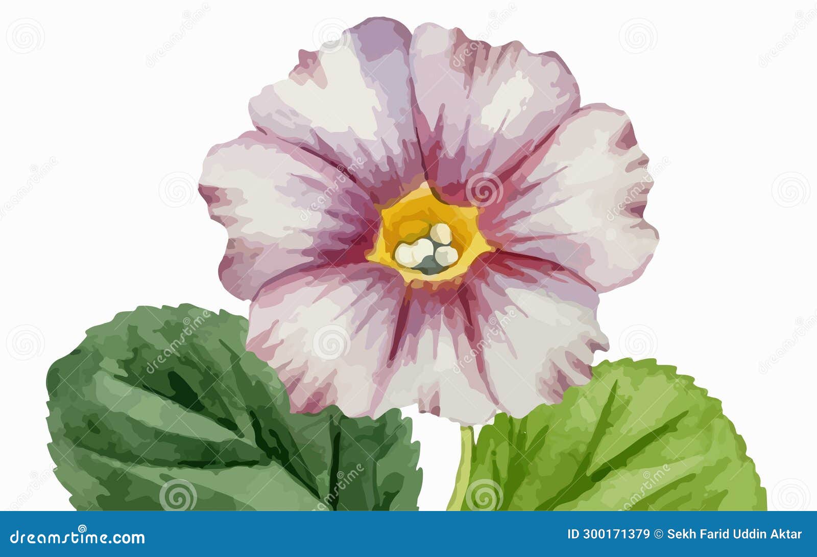 Cape Primrose Flower Watercolor Art and Illustration Created with AI ...