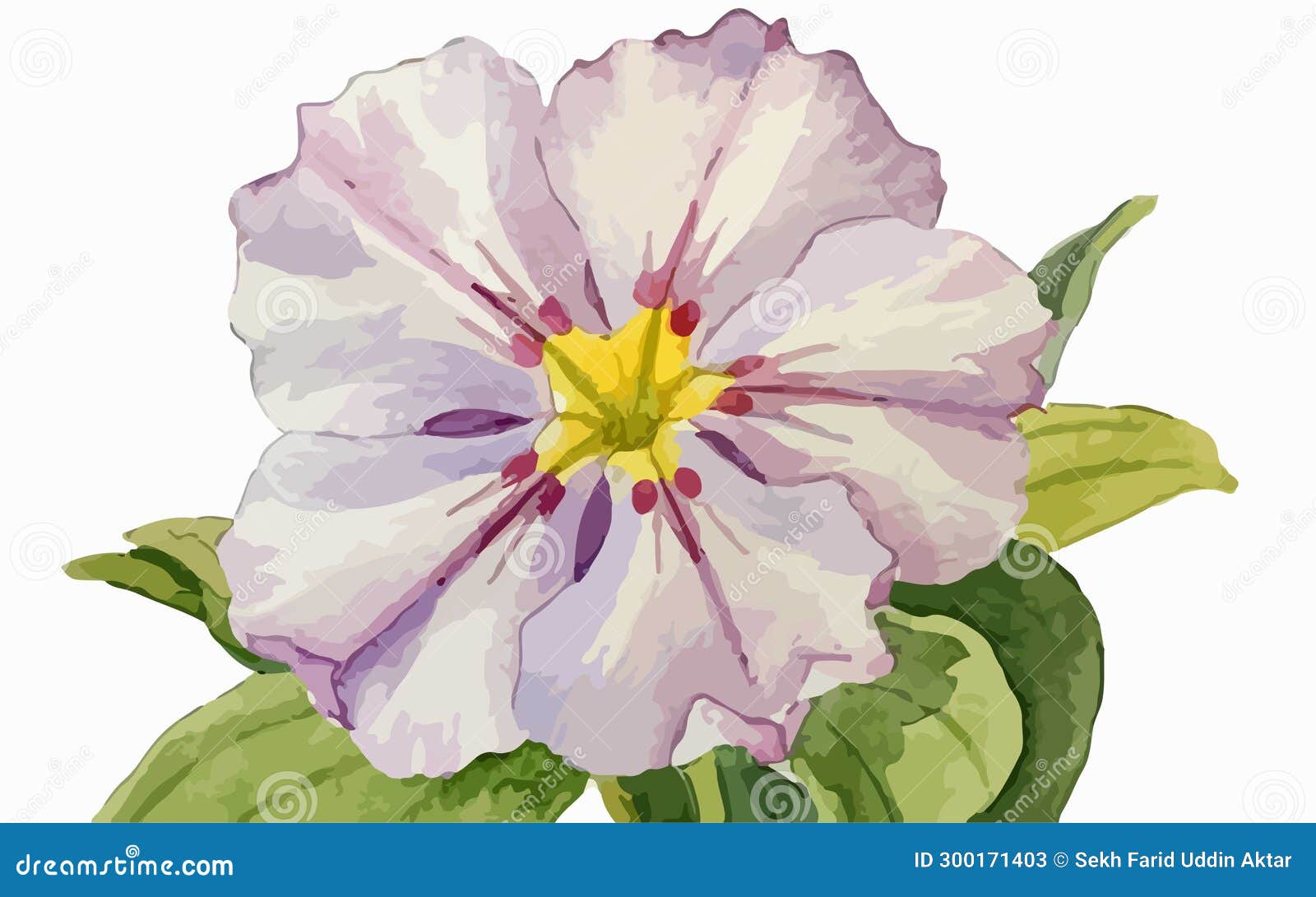 Cape Primrose Flower Watercolor Art and Illustration Created with AI ...