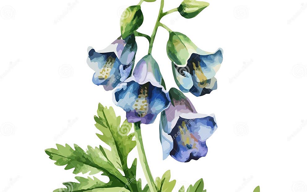 Aconitum Flower Watercolor Art and Illustration Created with AI Use Any ...