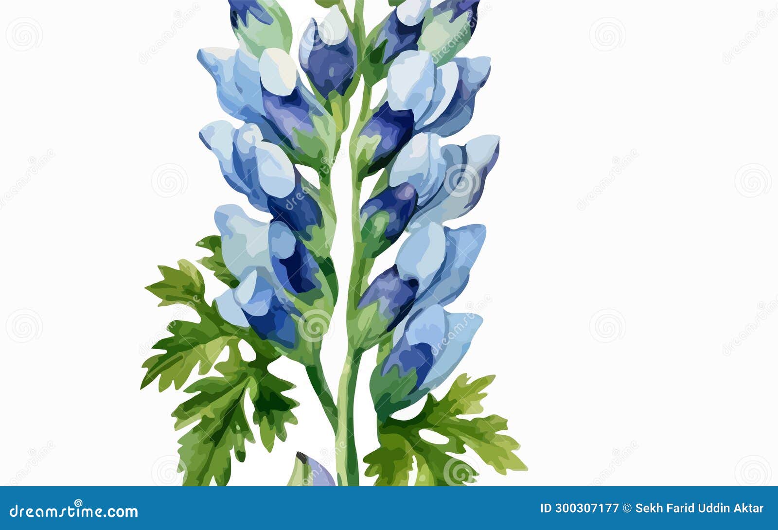 Aconitum Flower Watercolor Art and Illustration Created with AI Use Any ...