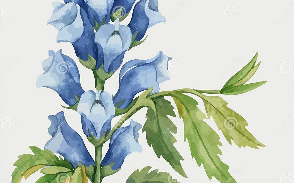 Aconitum Flower Watercolor Art and Illustration Created with AI Use Any ...