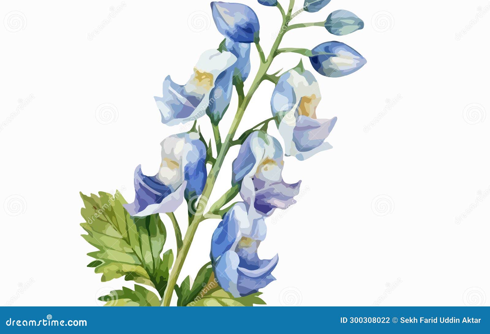 Aconitum Flower Watercolor Art and Illustration Created with AI Use Any ...