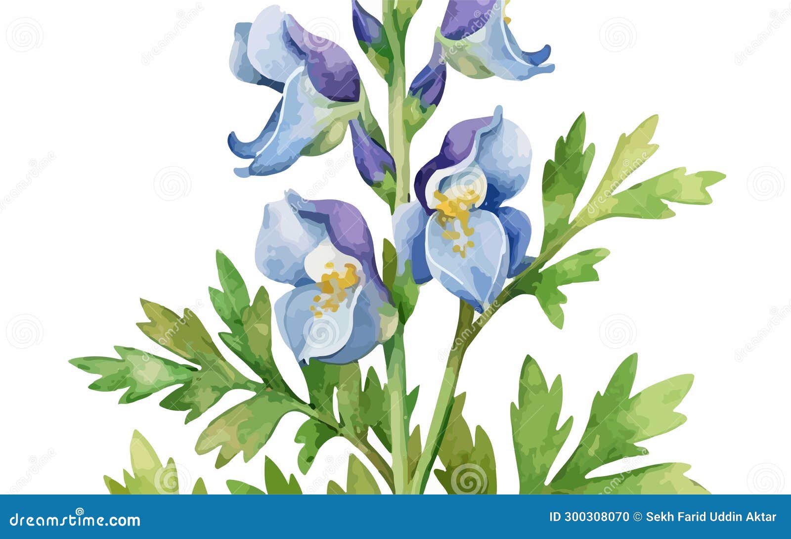 Aconitum Flower Watercolor Art and Illustration Created with AI Use Any ...