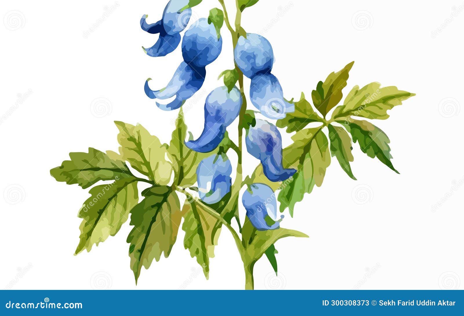 Aconitum Flower Watercolor Art and Illustration Created with AI Use Any ...