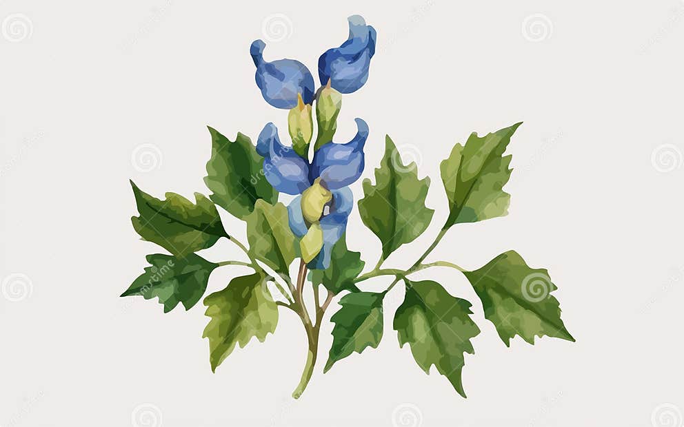 Aconitum Flower Watercolor Art and Illustration Created with AI Use Any ...