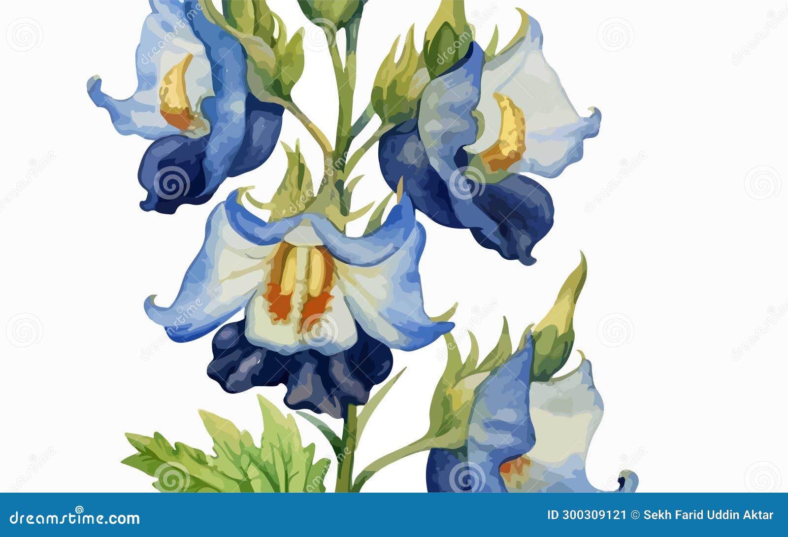 Aconitum Flower Watercolor Art & Illustration, Eps 10 Editable Vector ...