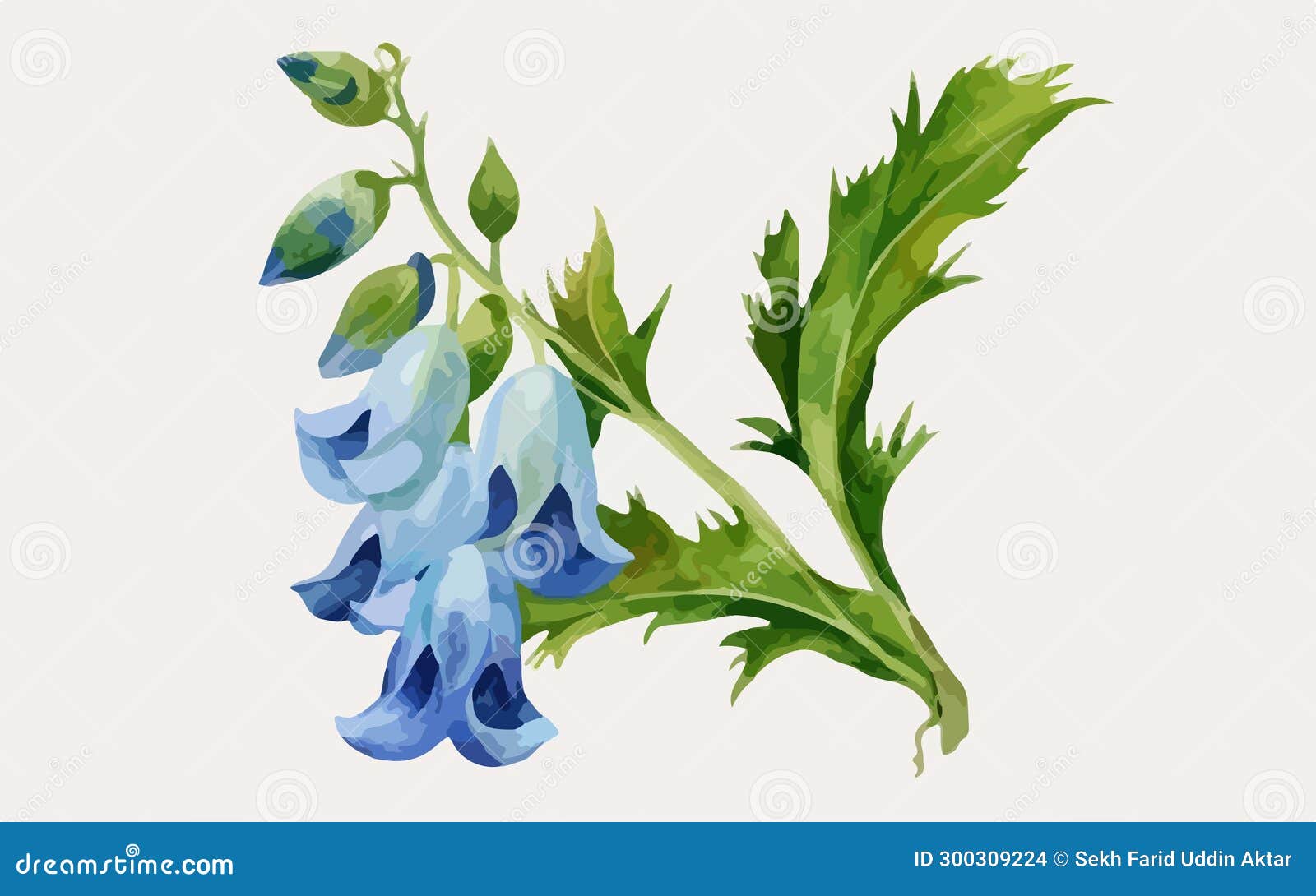 Aconitum Flower Watercolor Art And Illustration Created With AI Use Any ...