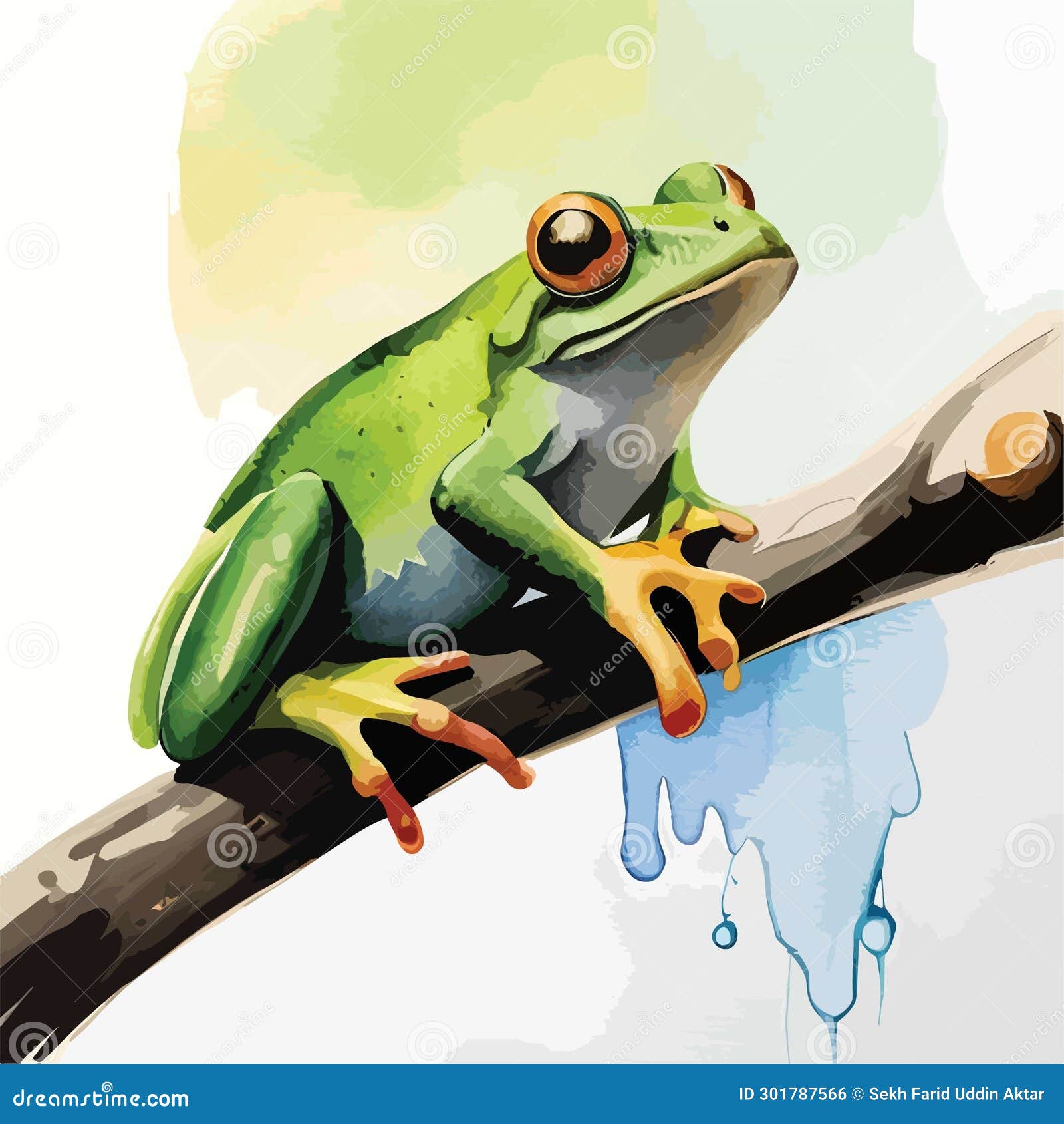 Frog Watercolor Illustration Painting Isolated on White Background Frog ...