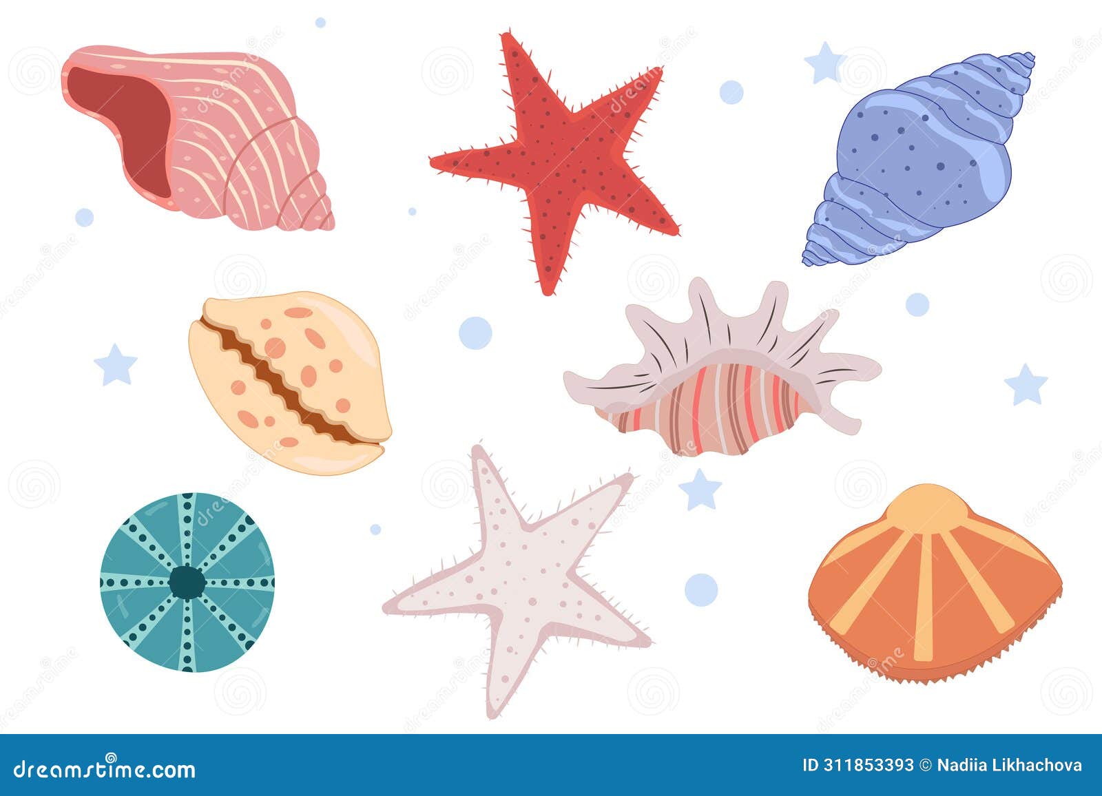 A Set of Seashells, Mollusks, Starfish of Different Shapes and Color ...