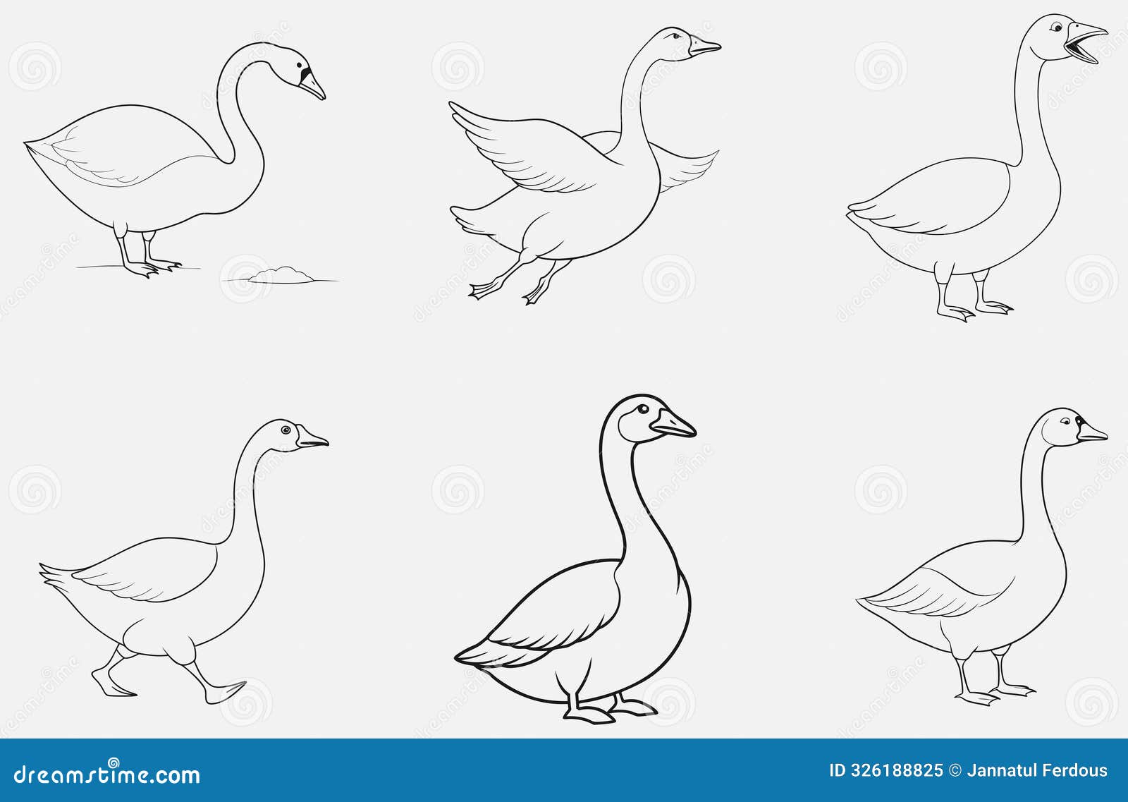 Majestic Goose Line Art Mega Collection Stock Vector - Illustration of ...