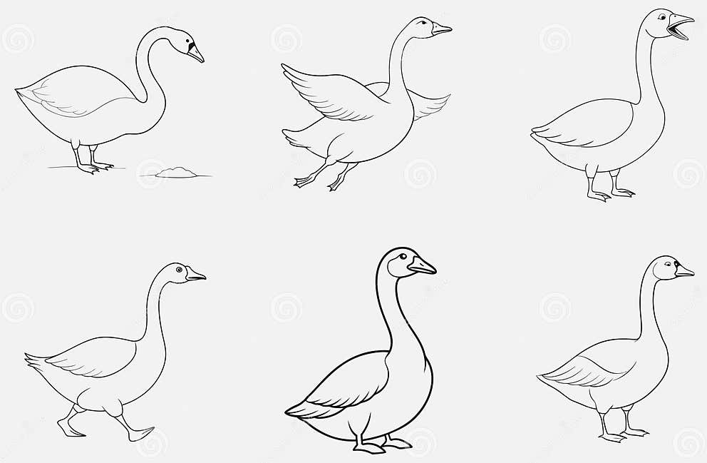 Majestic Goose Line Art Mega Collection Stock Vector - Illustration of ...