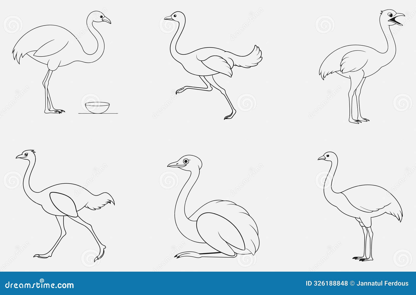 Majestic Ostrich Line Art Collection Stock Illustration - Illustration ...