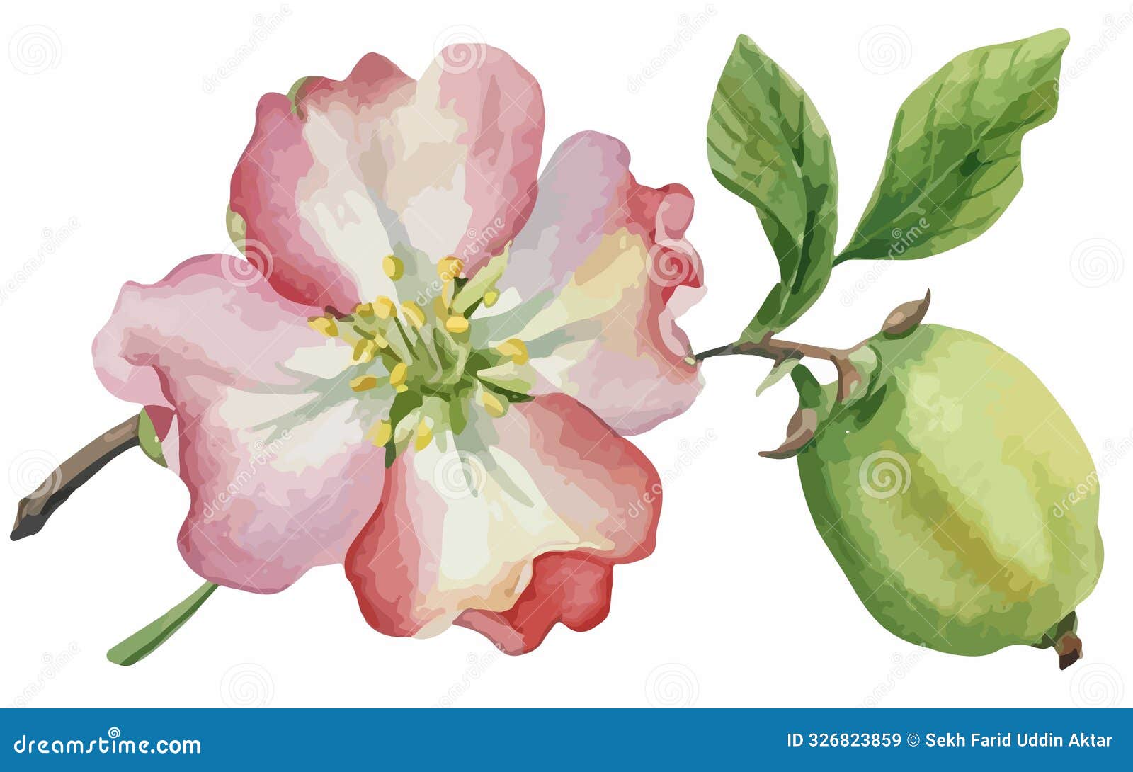 Red Quince Flower Watercolor Art and Illustration Generative AI Stock ...