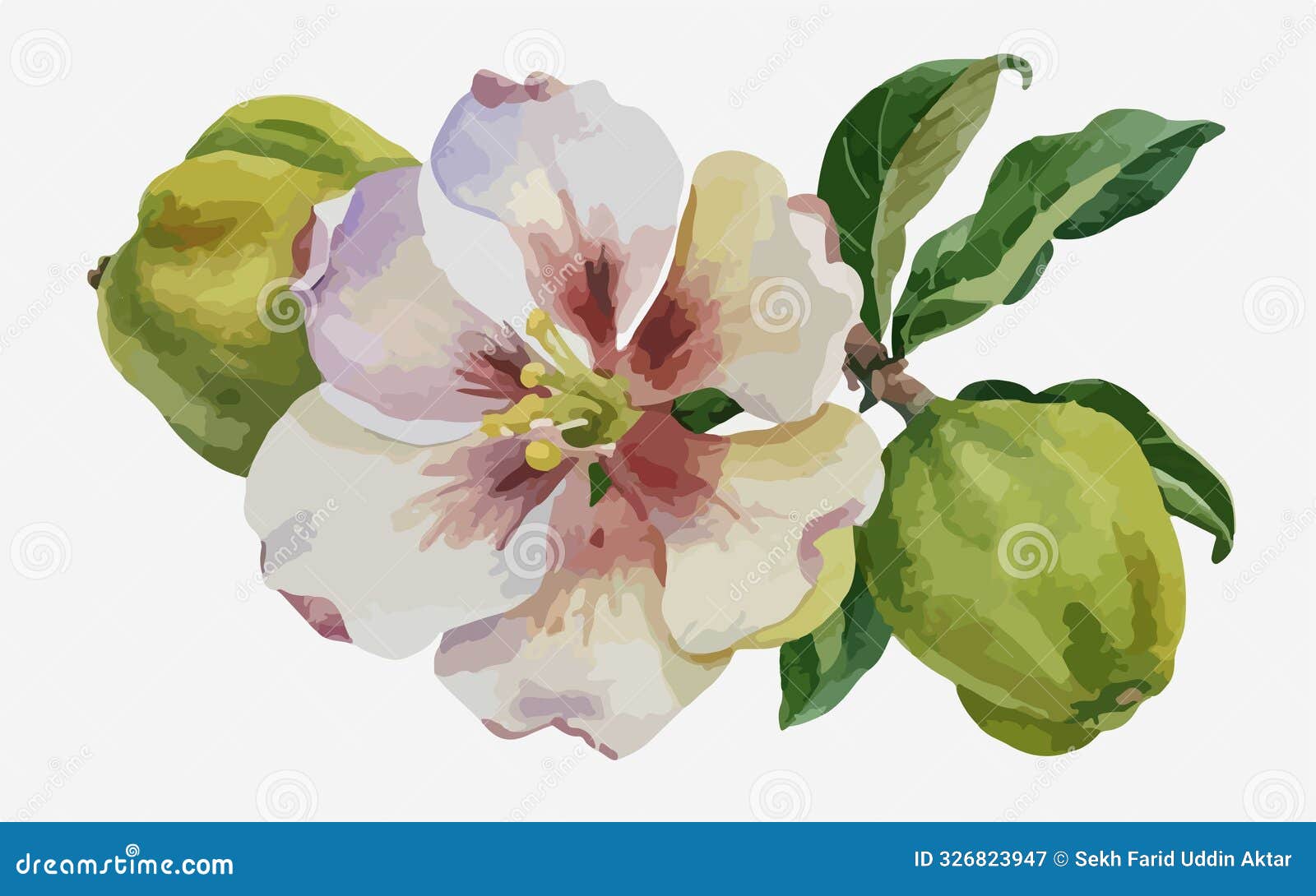 Red Quince Flower Watercolor Art and Illustration Generative AI Stock ...