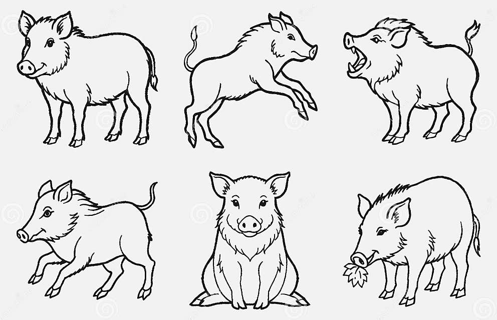 Majestic Boar Line Art Collection Stock Vector - Illustration of wild ...