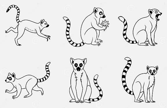 Lemur Line Art Collection stock vector. Illustration of tropical ...