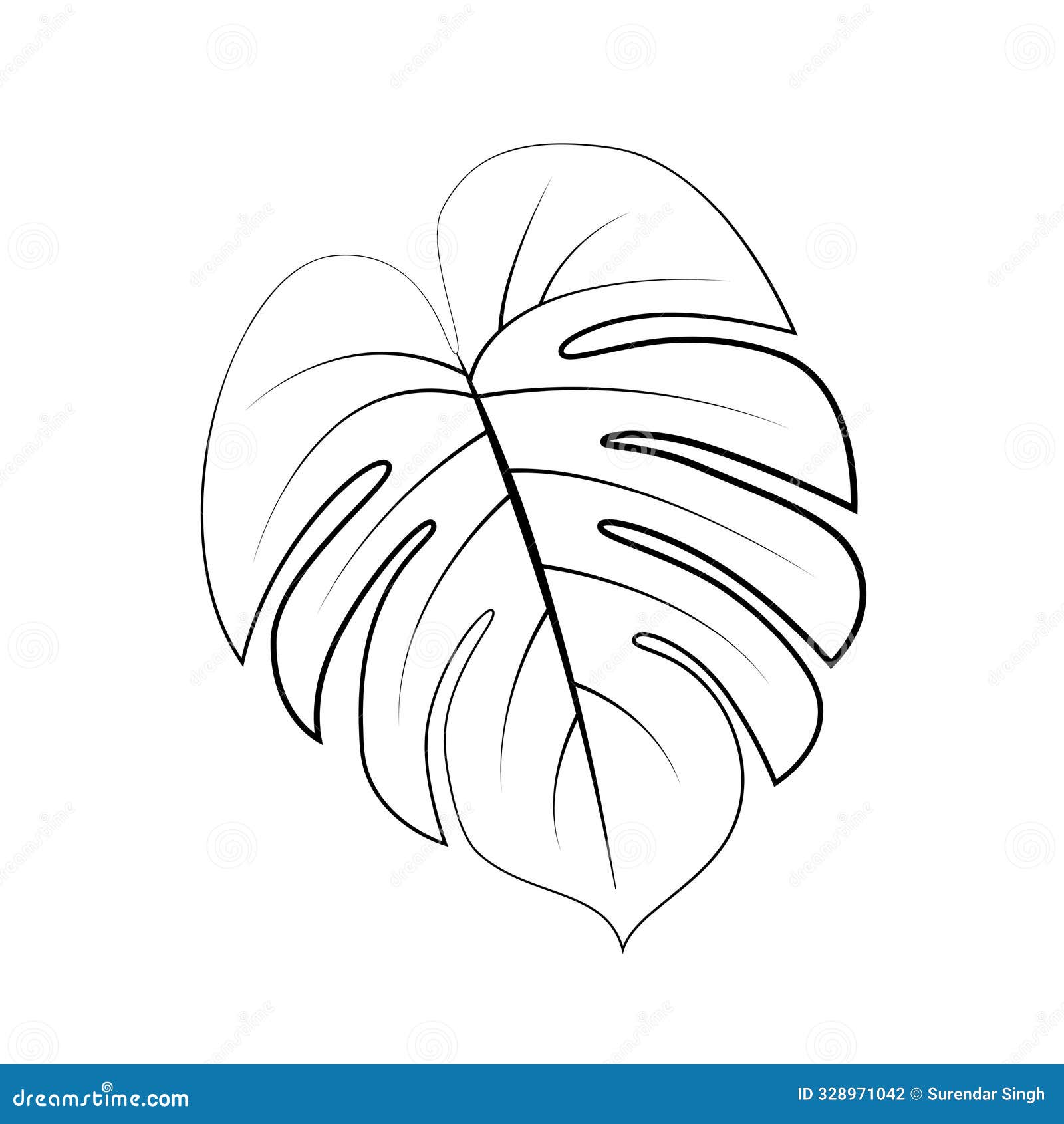 Monstera Leaf Line Art Drawing. Tropical Leaves. Plant Line Drawing ...
