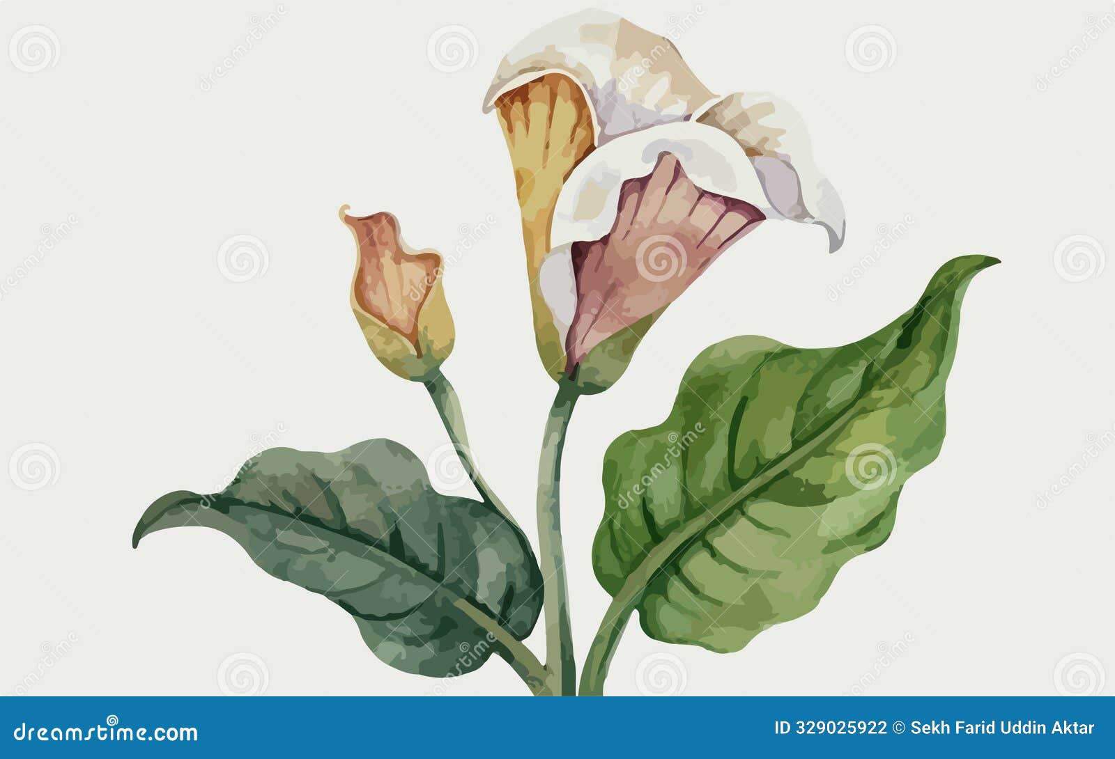 Arum Lobe Watercolor Art and Illustration Generative AI Stock ...