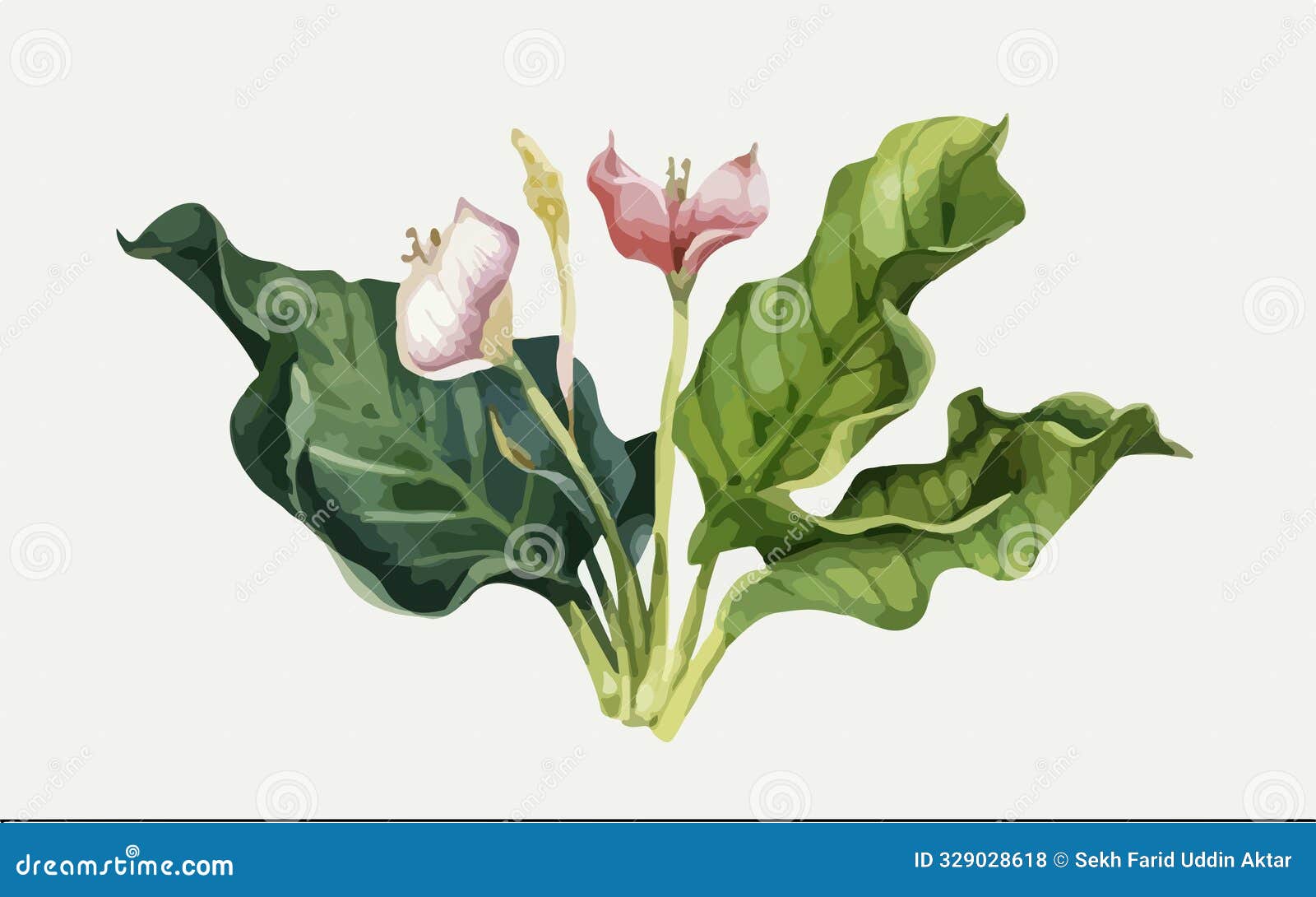 Arum Spinach Watercolor Art and Illustration Generative AI Stock ...