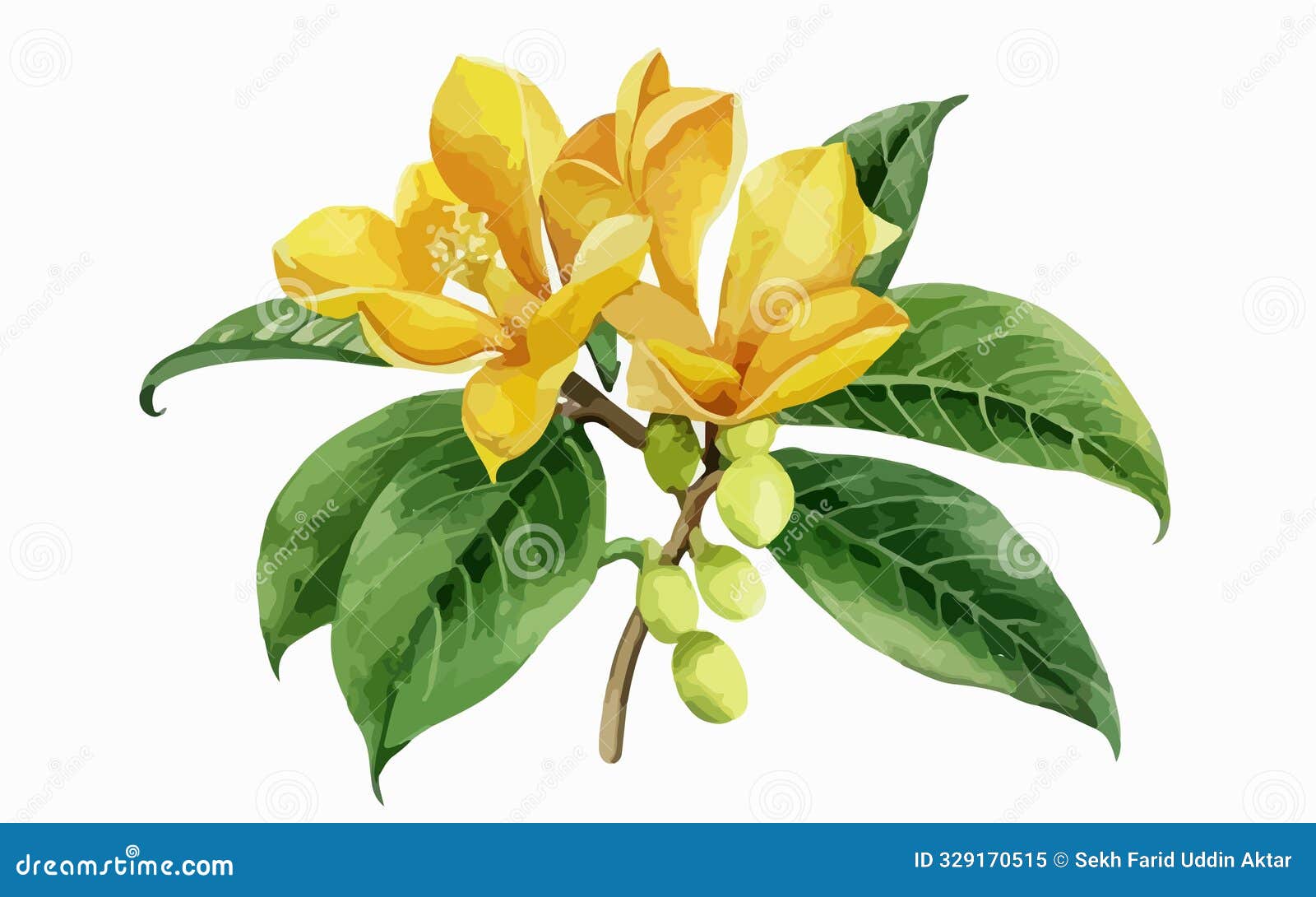 Betel Tree Watercolor Art and Illustration Generative AI Stock Vector ...