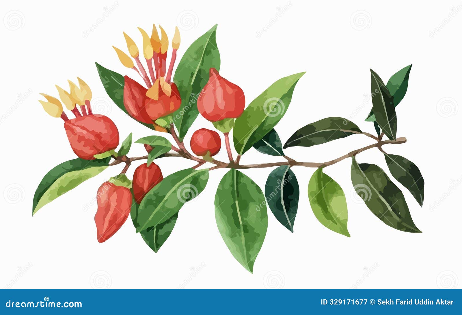 Betel Tree Watercolor Art and Illustration Generative AI Stock Vector ...