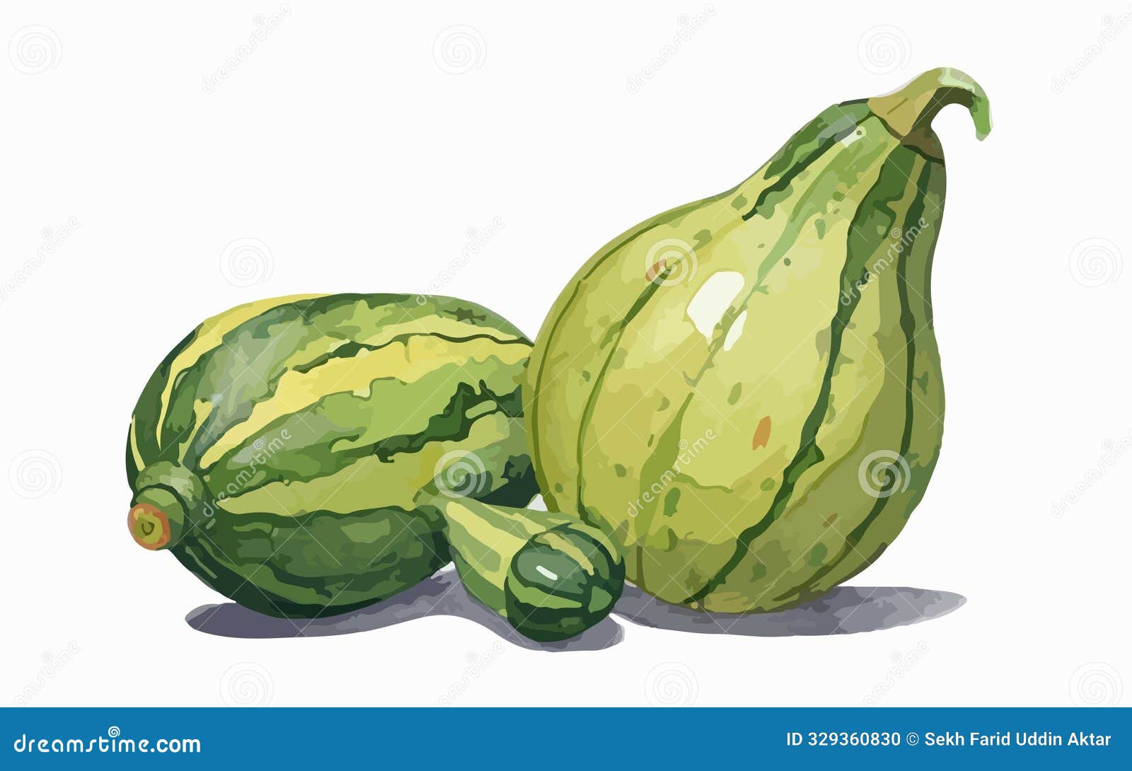 Bottle Gourd Vegetable Silhouette, Bottle Gourd Vegetable Silhouette ...