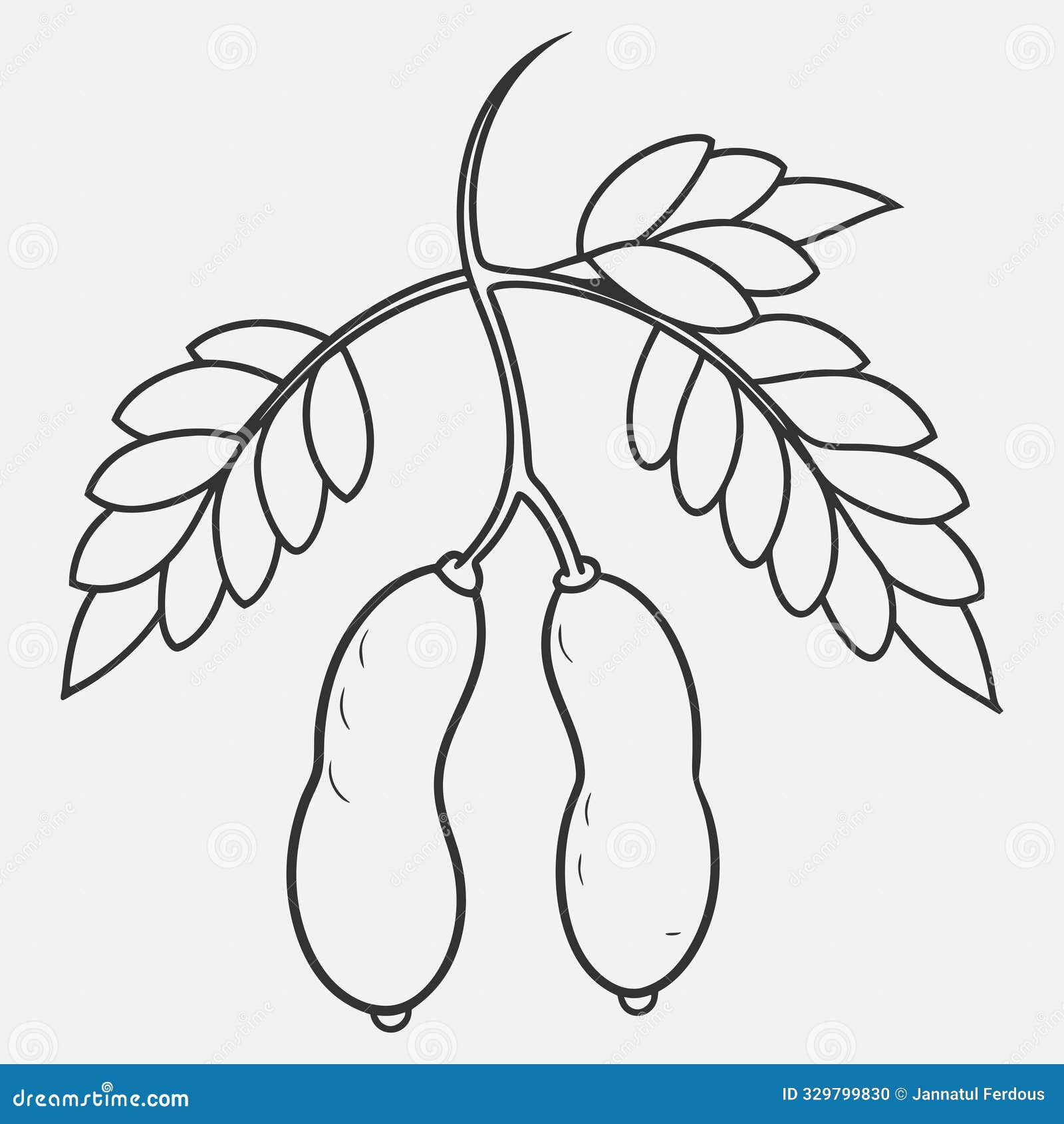 Tamarind Line Art: Elegant Botanical Illustrations and Minimalist ...