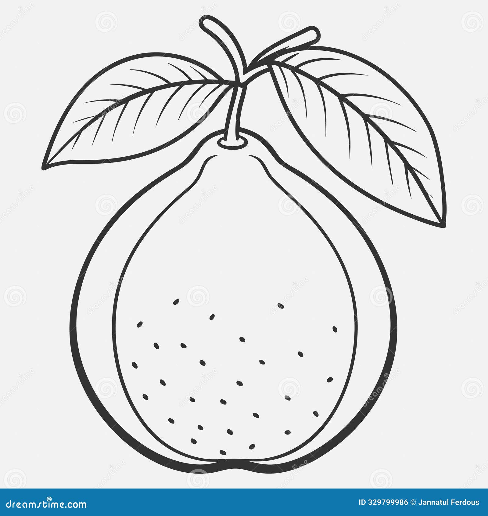 Elegant Guava Line Art, Minimalist Guava Illustrations Stock Vector ...
