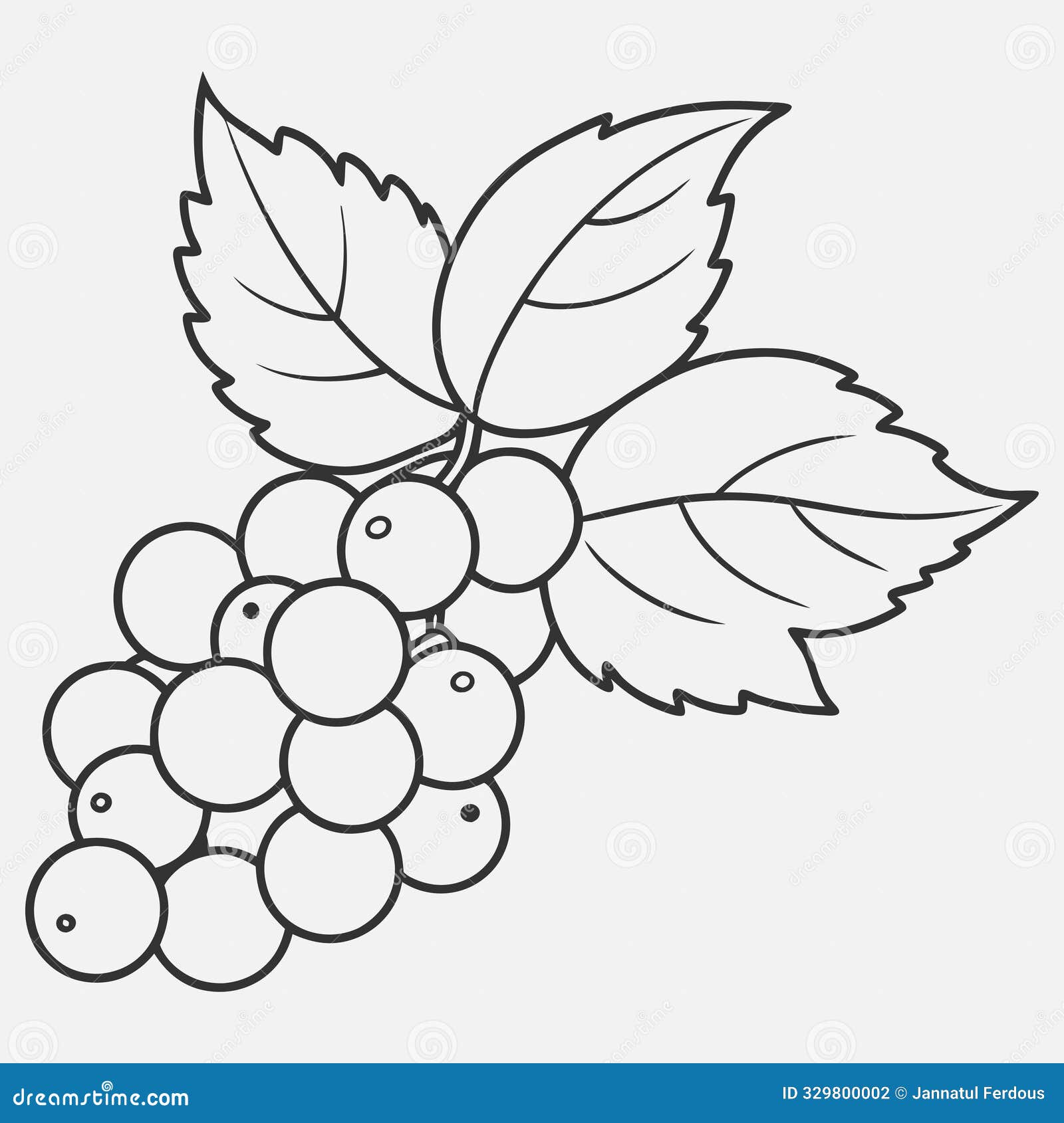 Elegant White Currant Line Art, a Minimalist Botanical Illustration ...
