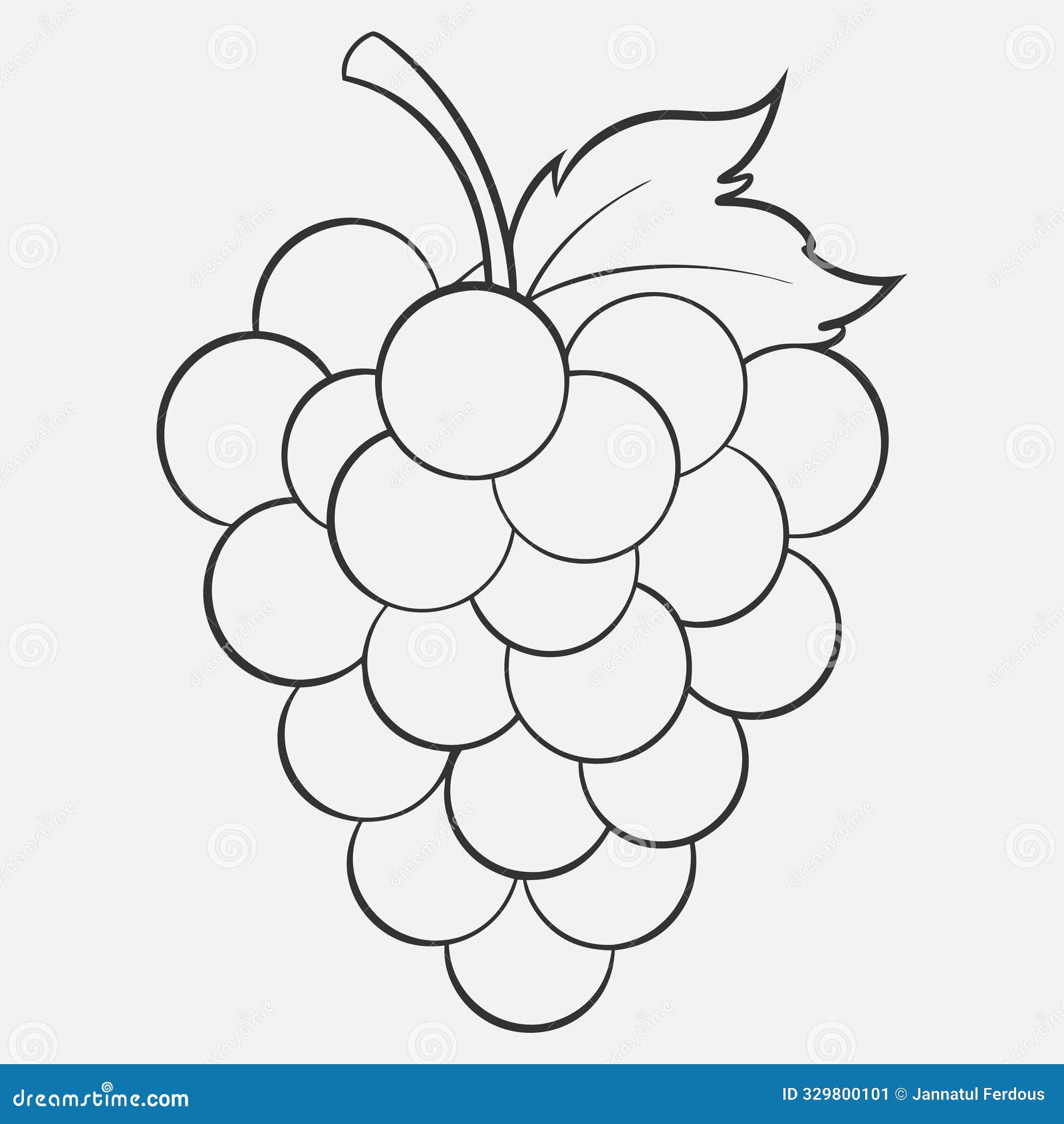 Elegant Grapevine Line Art stock illustration. Illustration of vineyard ...