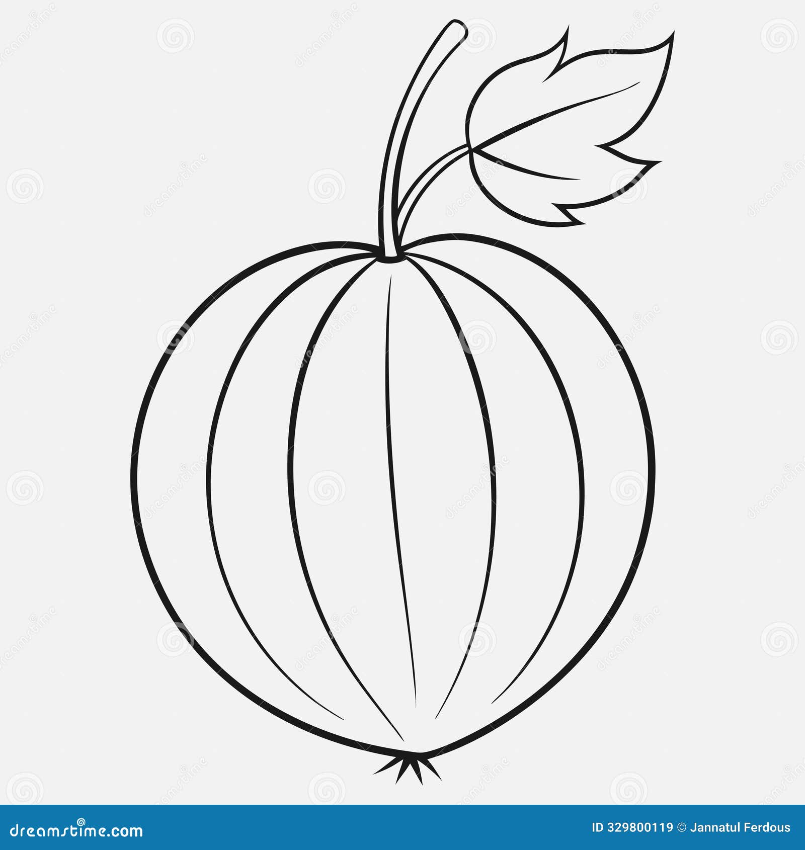 Stunning Gooseberry Line Art Collection Stock Illustration ...