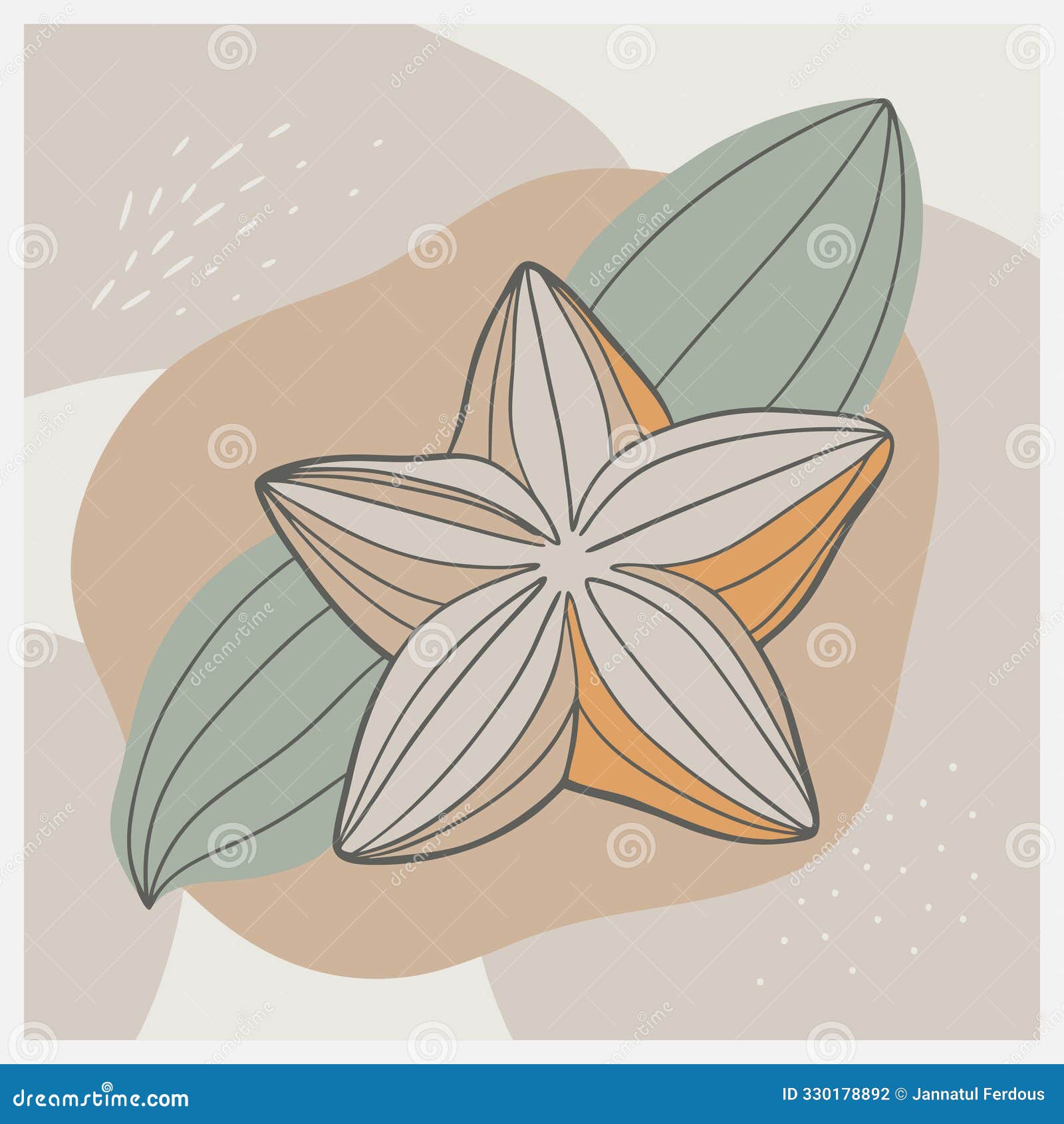 Starfruit Vector Illustration Stock Vector - Illustration of botanical ...