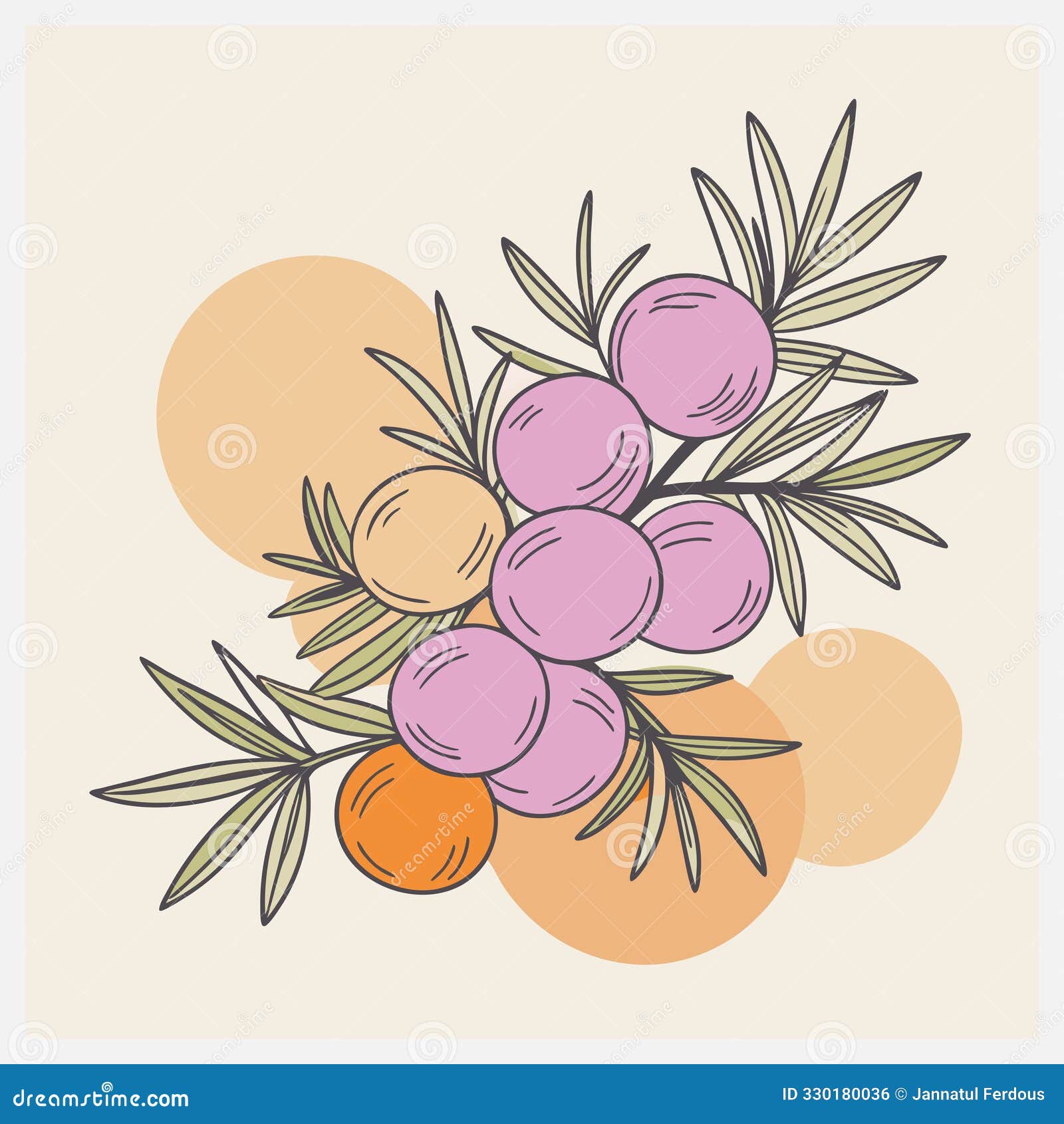 Majestic Juniper Tree Vector Illustration Stock Vector - Illustration ...