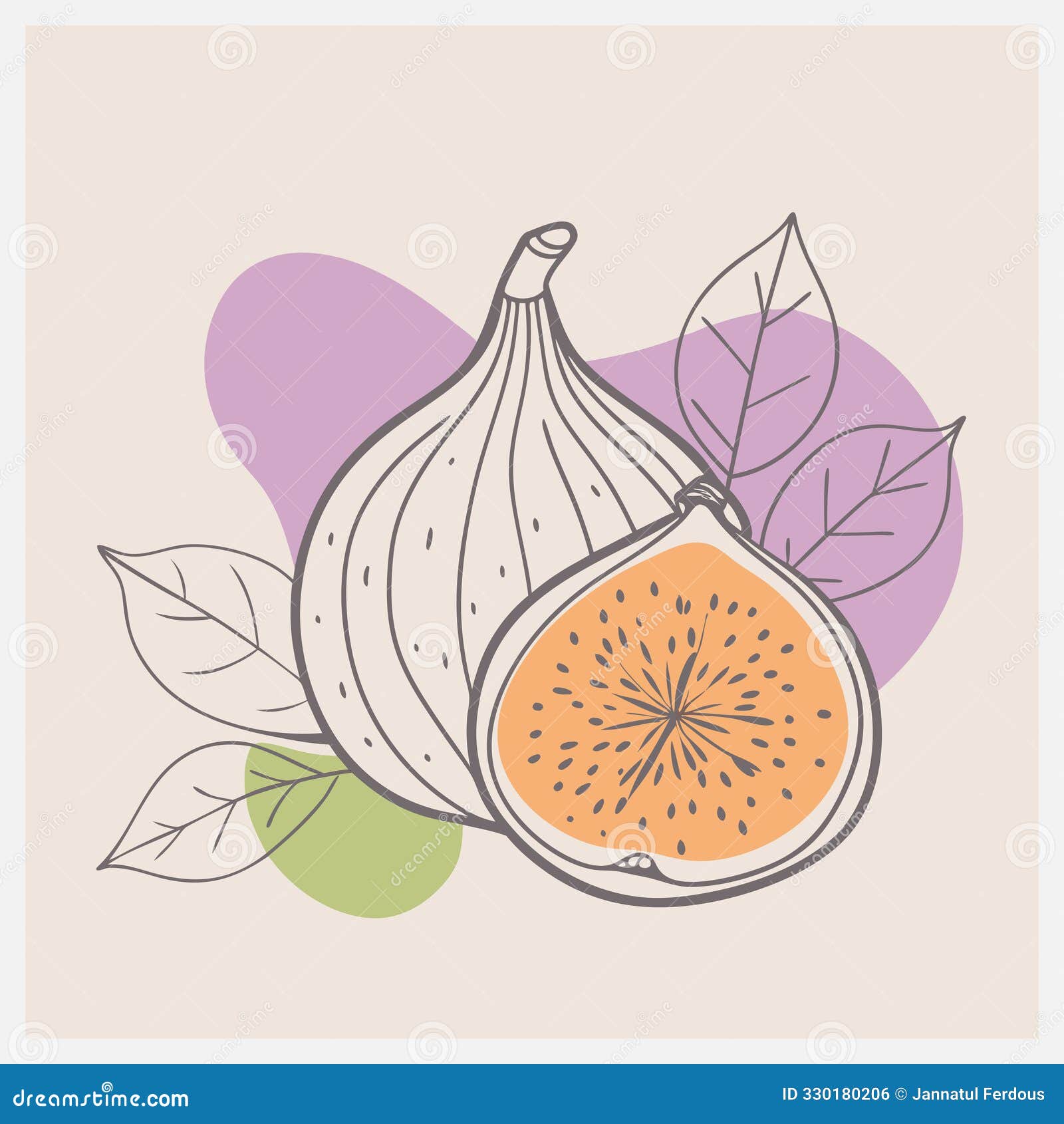 Stunning Fig Vector Illustration: Perfect for Your Design Needs Stock ...
